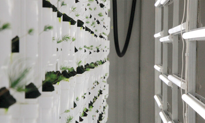 Sustainability - CORE