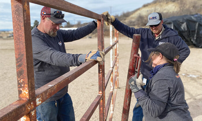 Sustainability - CORE