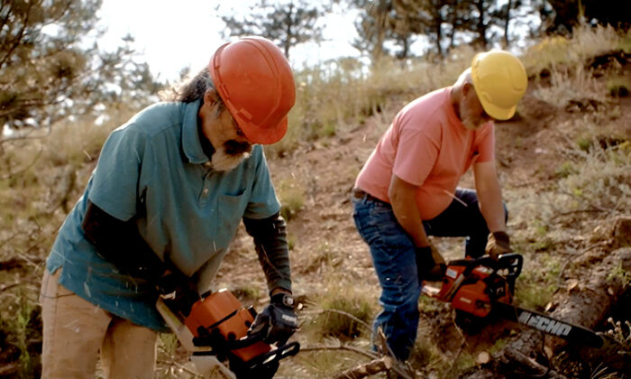 Wildfire Mitigation: What You Can Do - CORE