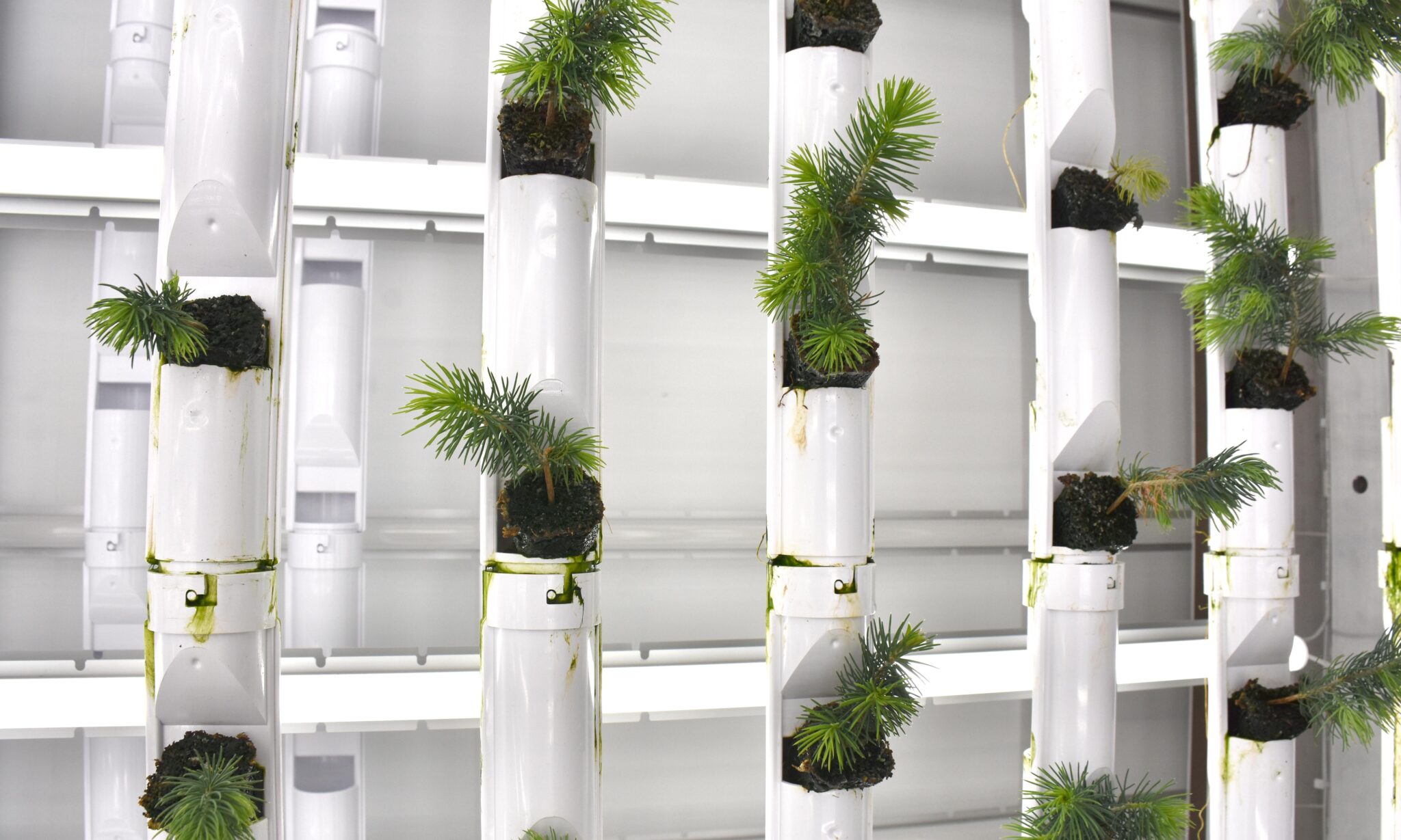 CORE and FarmBox Foods launch reforestation initiative - CORE